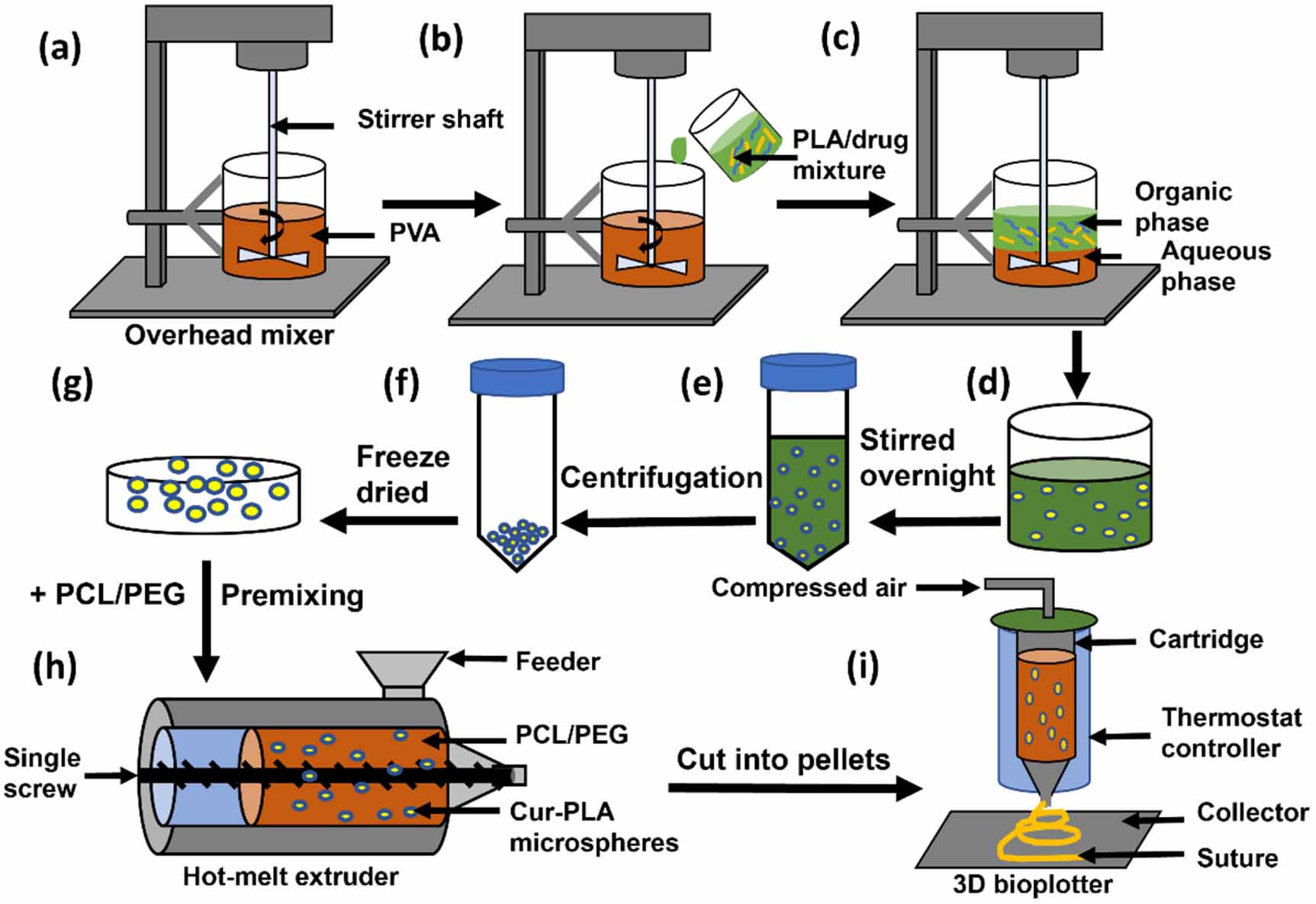 Melt-extruded biocompatible surgical sutures loaded with microspheres ...