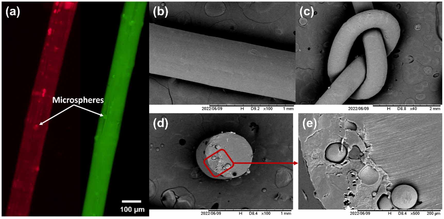 Melt-extruded biocompatible surgical sutures loaded with microspheres ...