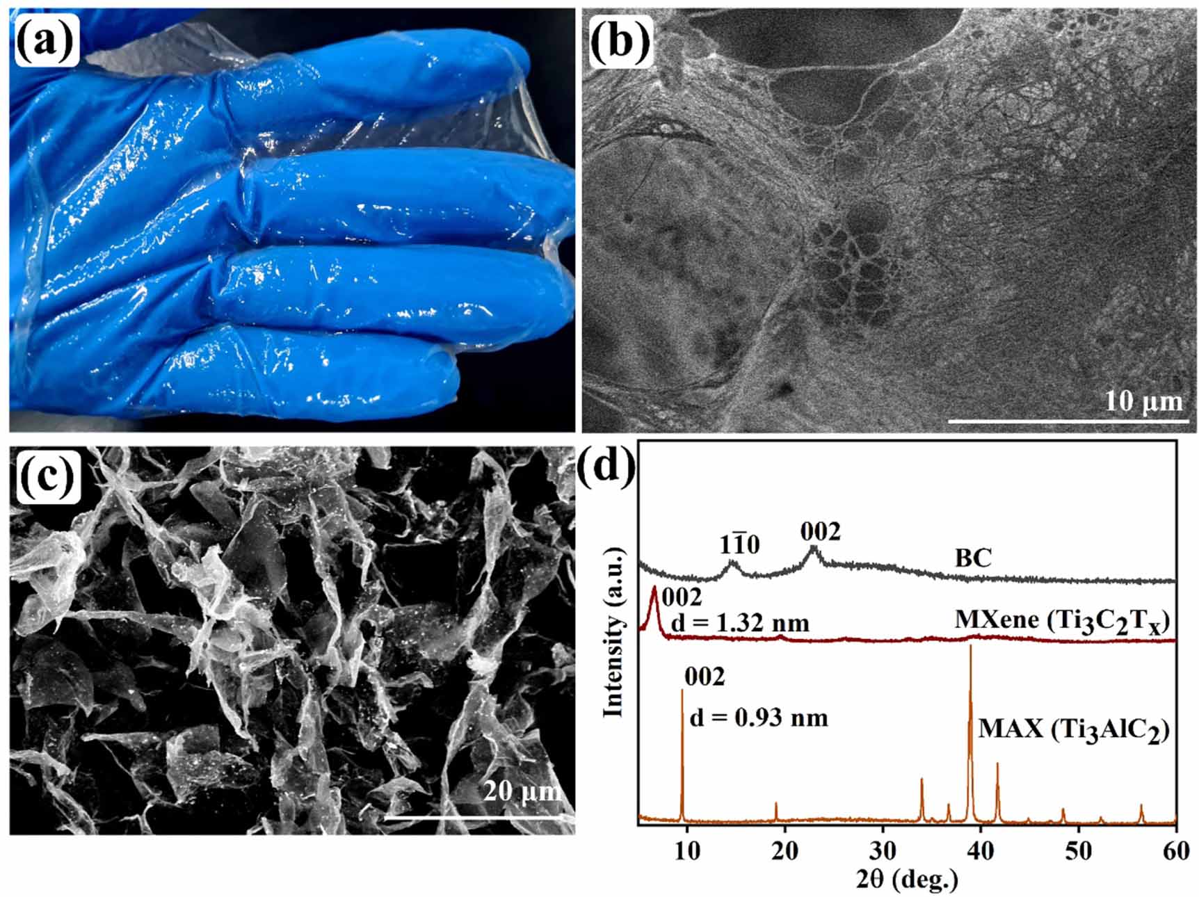MXene reinforced microporous bacterial cellulose/sodium alginate dual ...