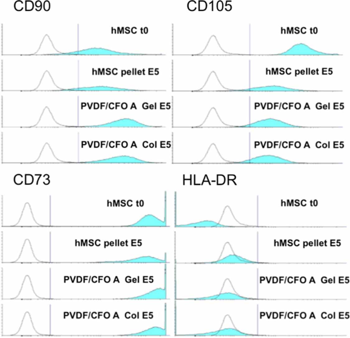 Assemblable 3D biomimetic microenvironment for hMSC osteogenic ...