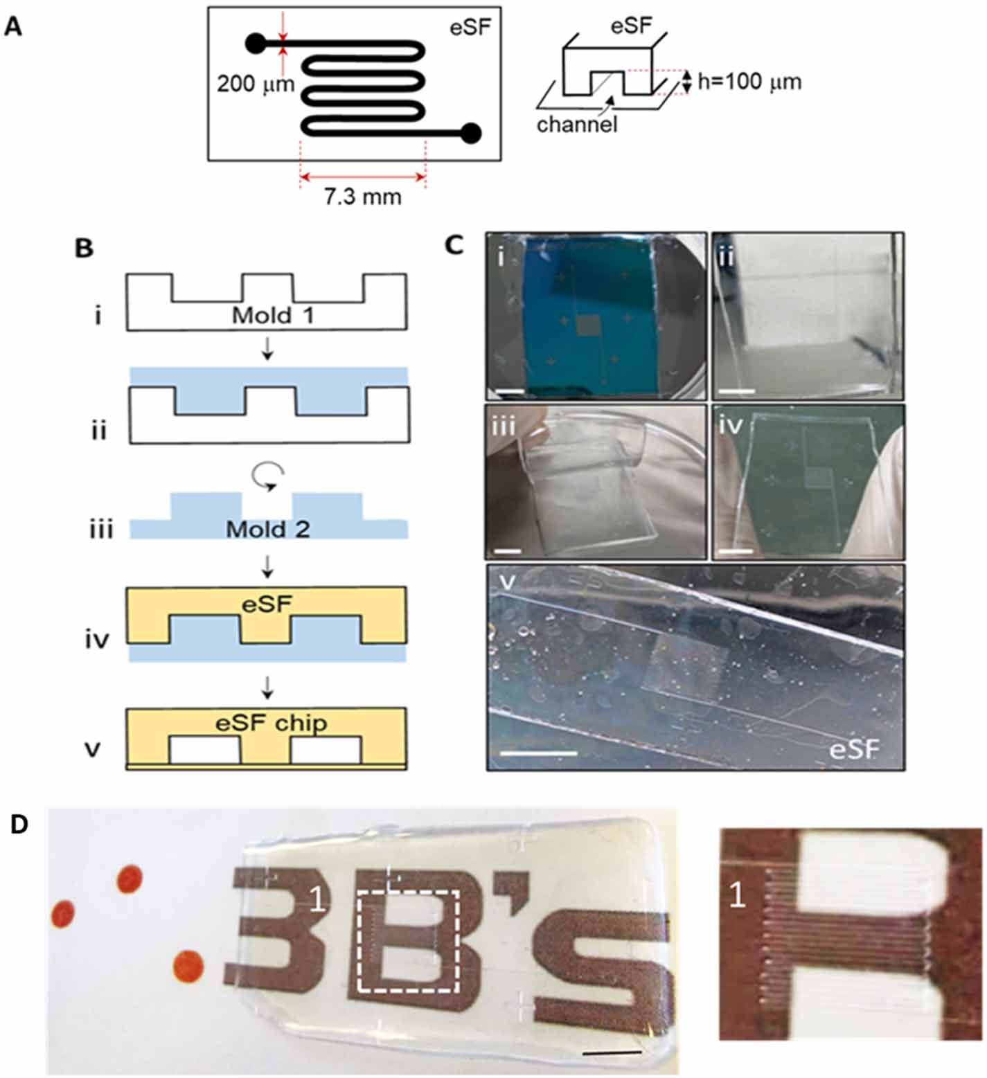 Biomimetic and soft lab-on-a-chip platform based on enzymatic ...