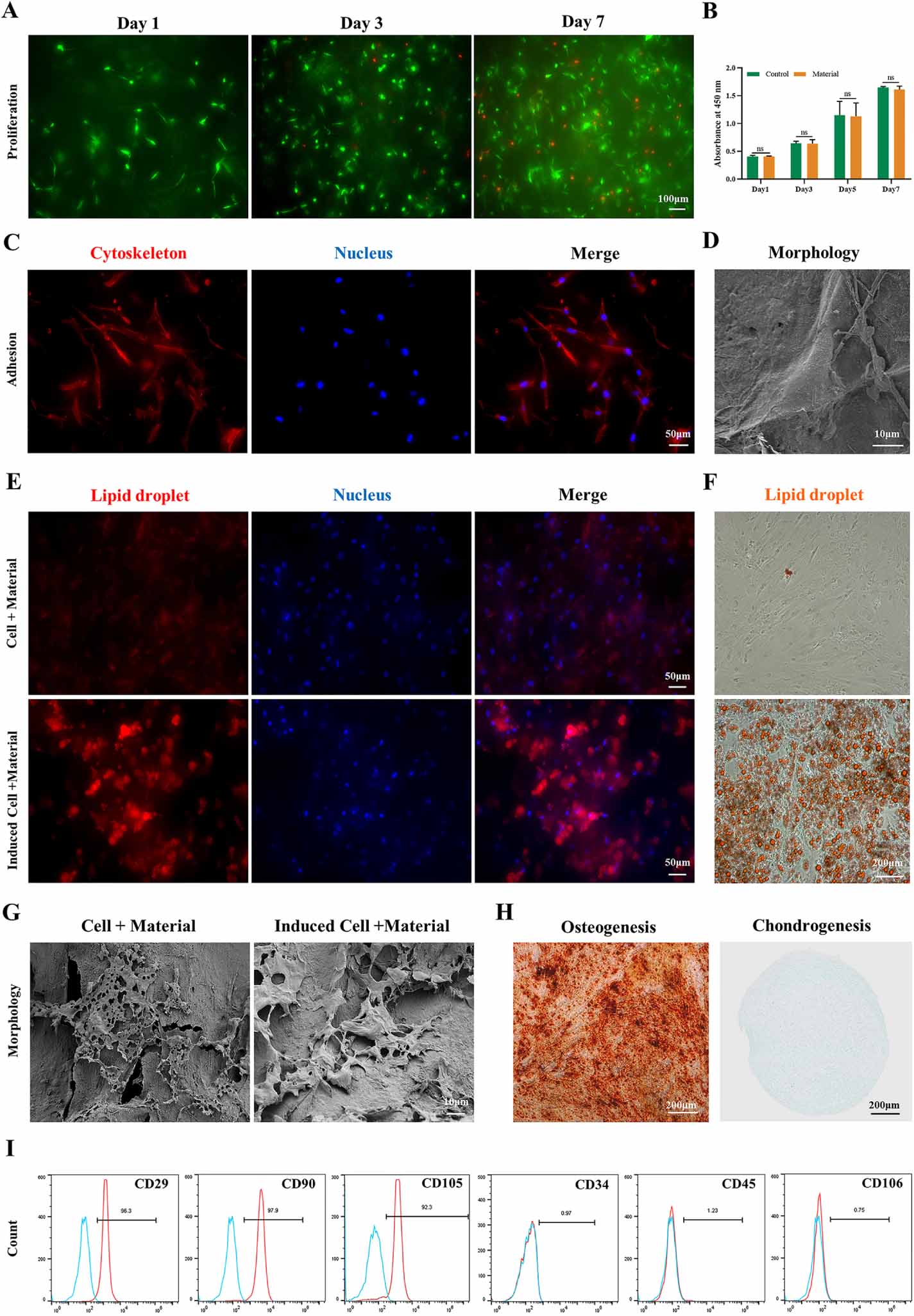 Thermal-crosslinked acellular dermal matrix combined with adipose ...