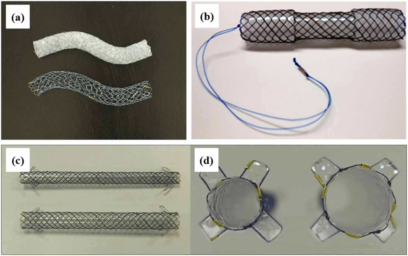 A review on pancreatic duct stents: materials and emerging trends ...