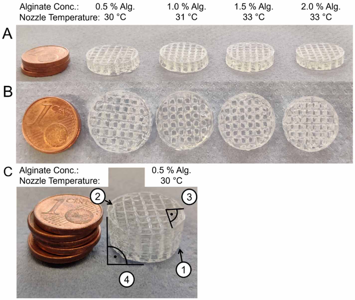 Custom FDM-based bioprinter with heated nozzle: optimizing slicer ...