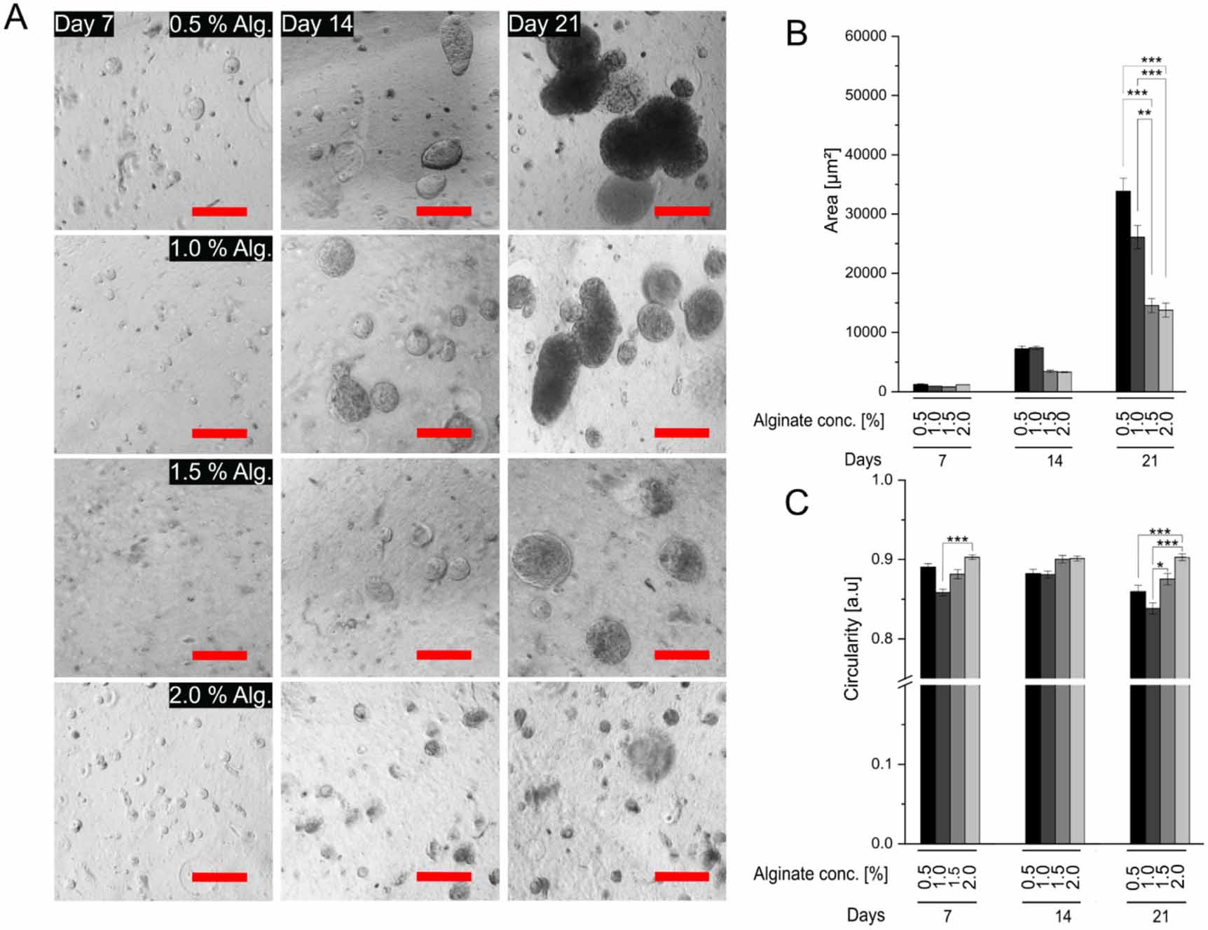 Custom FDM-based bioprinter with heated nozzle: optimizing slicer ...