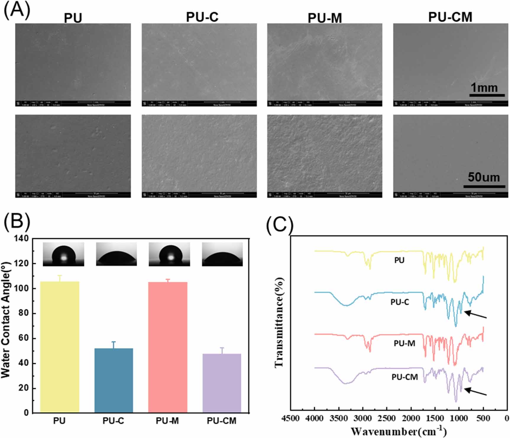 Dressing antibacterial platinum loaded polyurethane materials by a ...