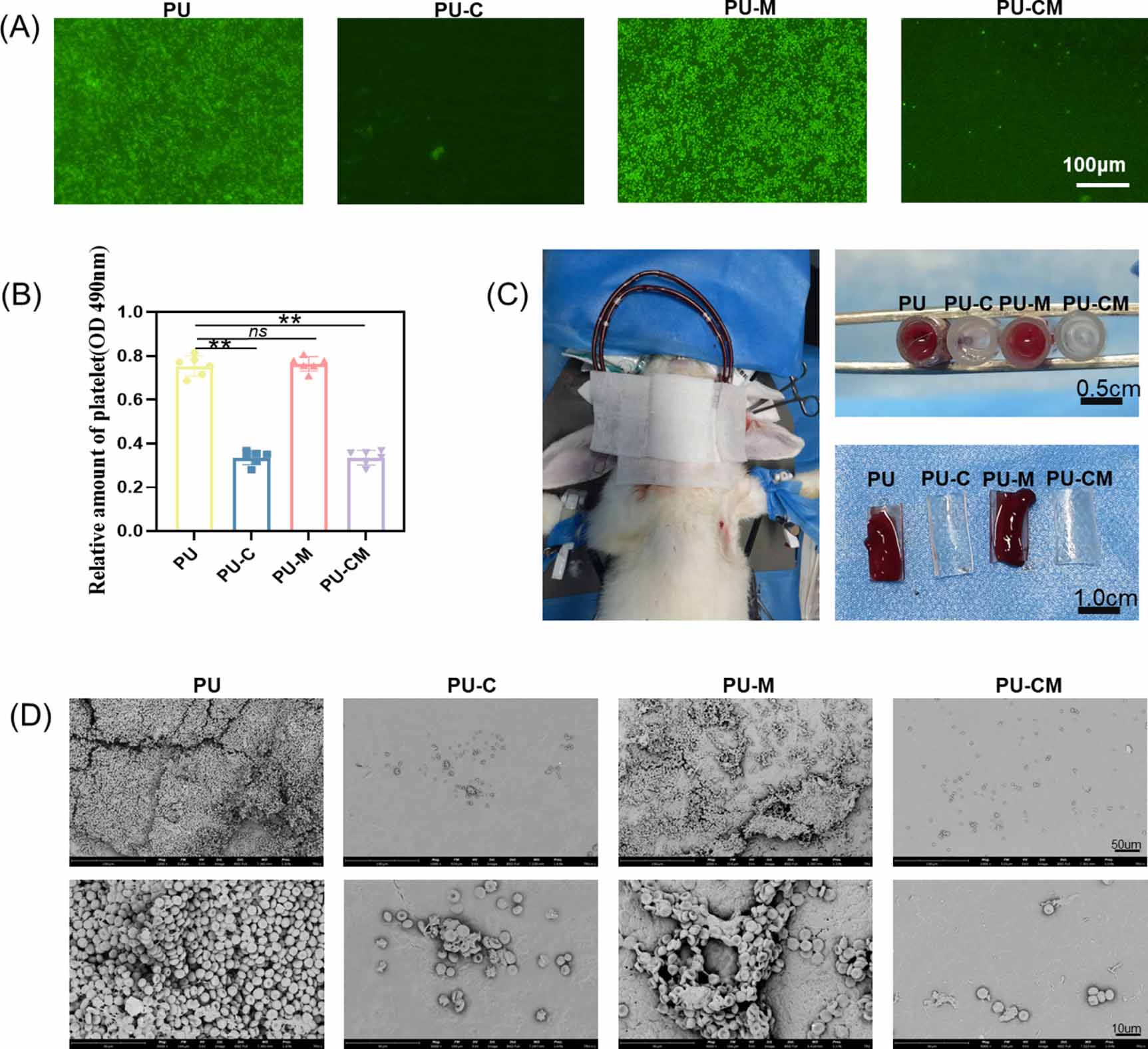 Dressing antibacterial platinum loaded polyurethane materials by a ...