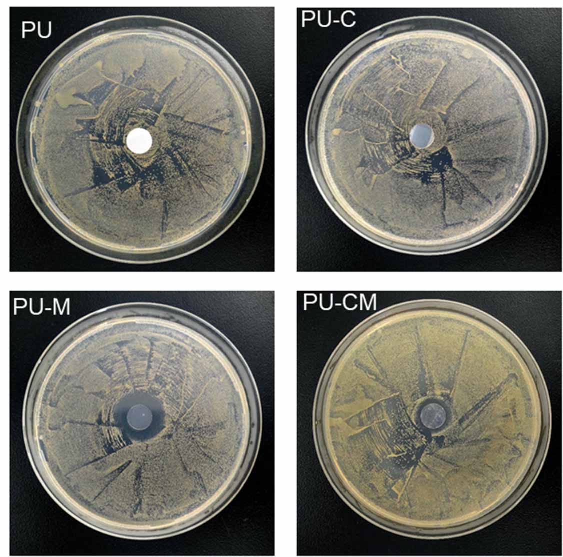 Dressing antibacterial platinum loaded polyurethane materials by a ...