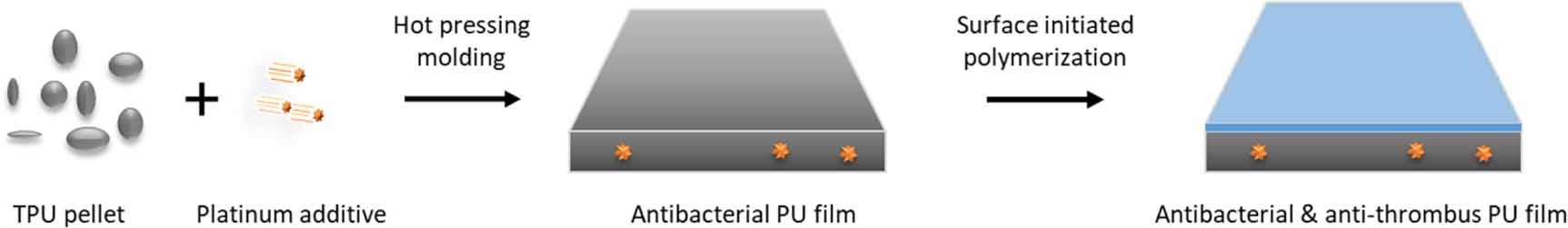 Dressing antibacterial platinum loaded polyurethane materials by a ...