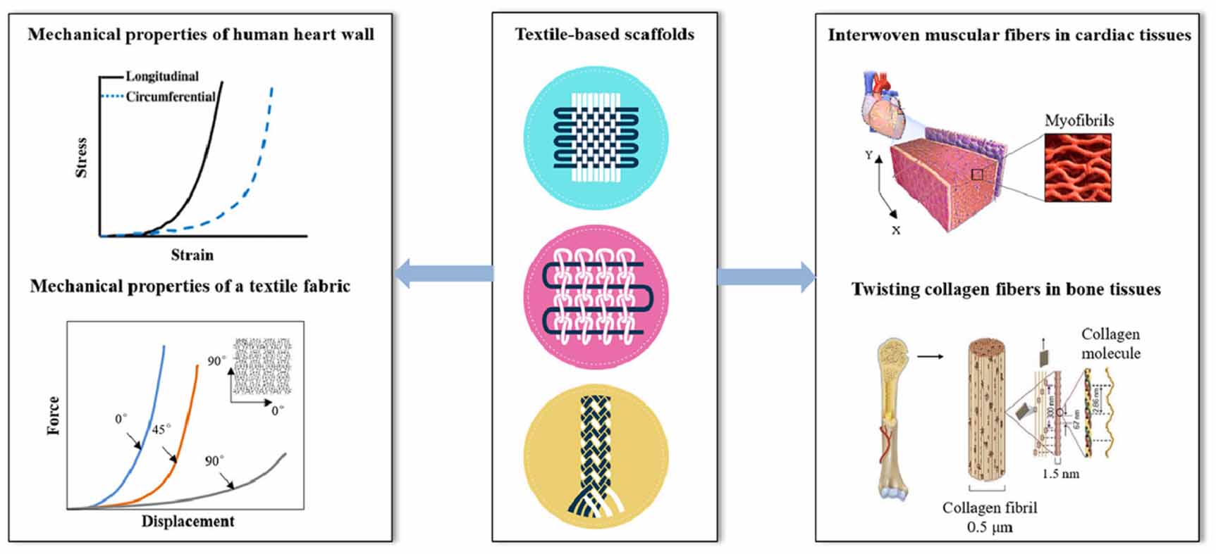 Advancing biomedical applications: integrating textile innovations with ...