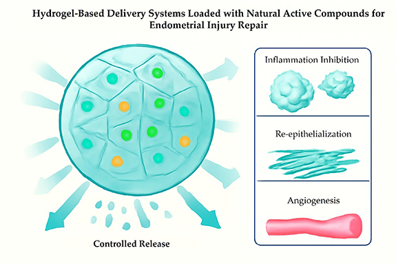 Hydrogel-based delivery systems loaded with natural active compounds ...