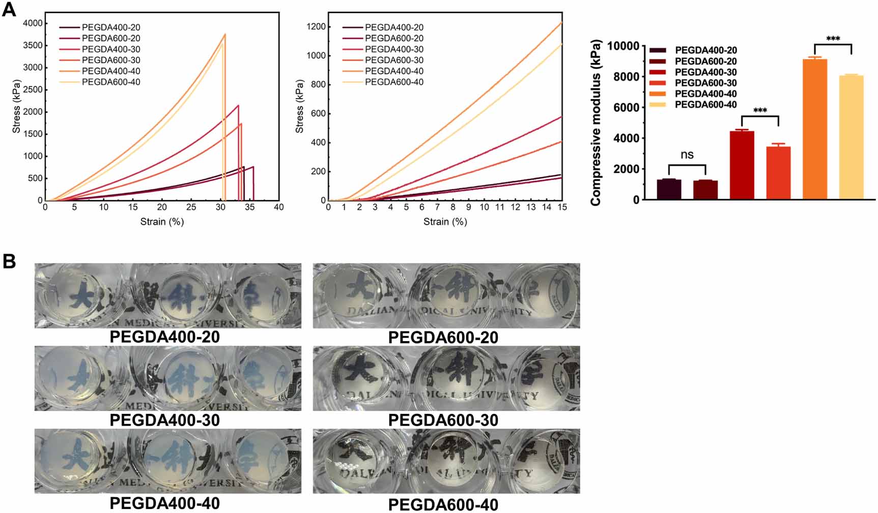 Fib@PEGDA/GelMA hydrogel as a light-curing thin-layer matrix for RPE ...