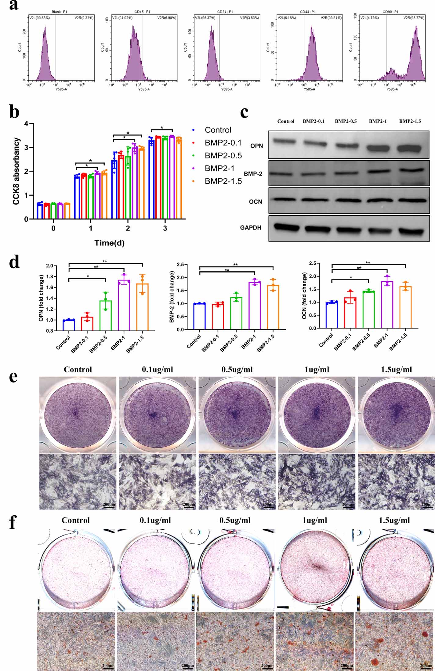 Bilayer oxidized sodium alginate–carboxymethyl chitosan hydrogel ...
