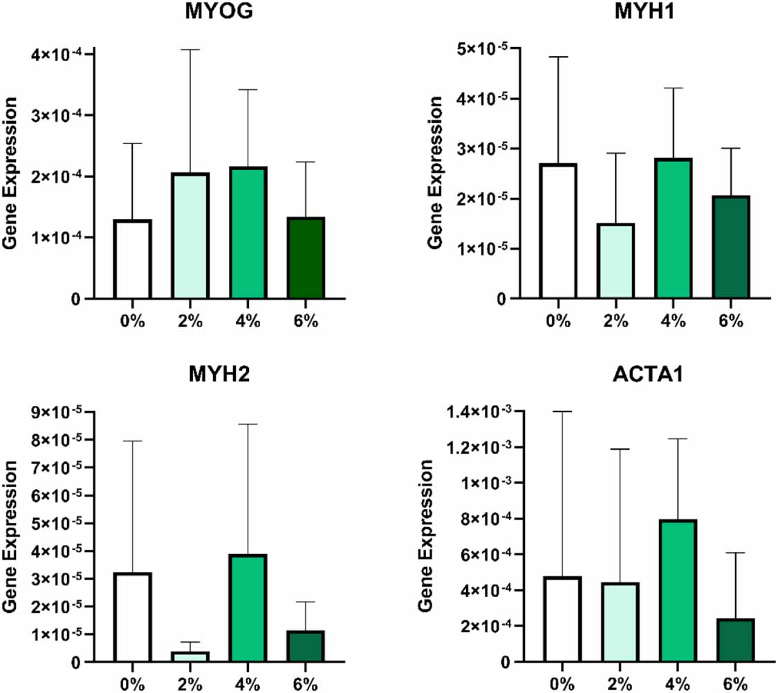 Myoblast and ADSC coculture on conductive highly aligned nanofiber ...