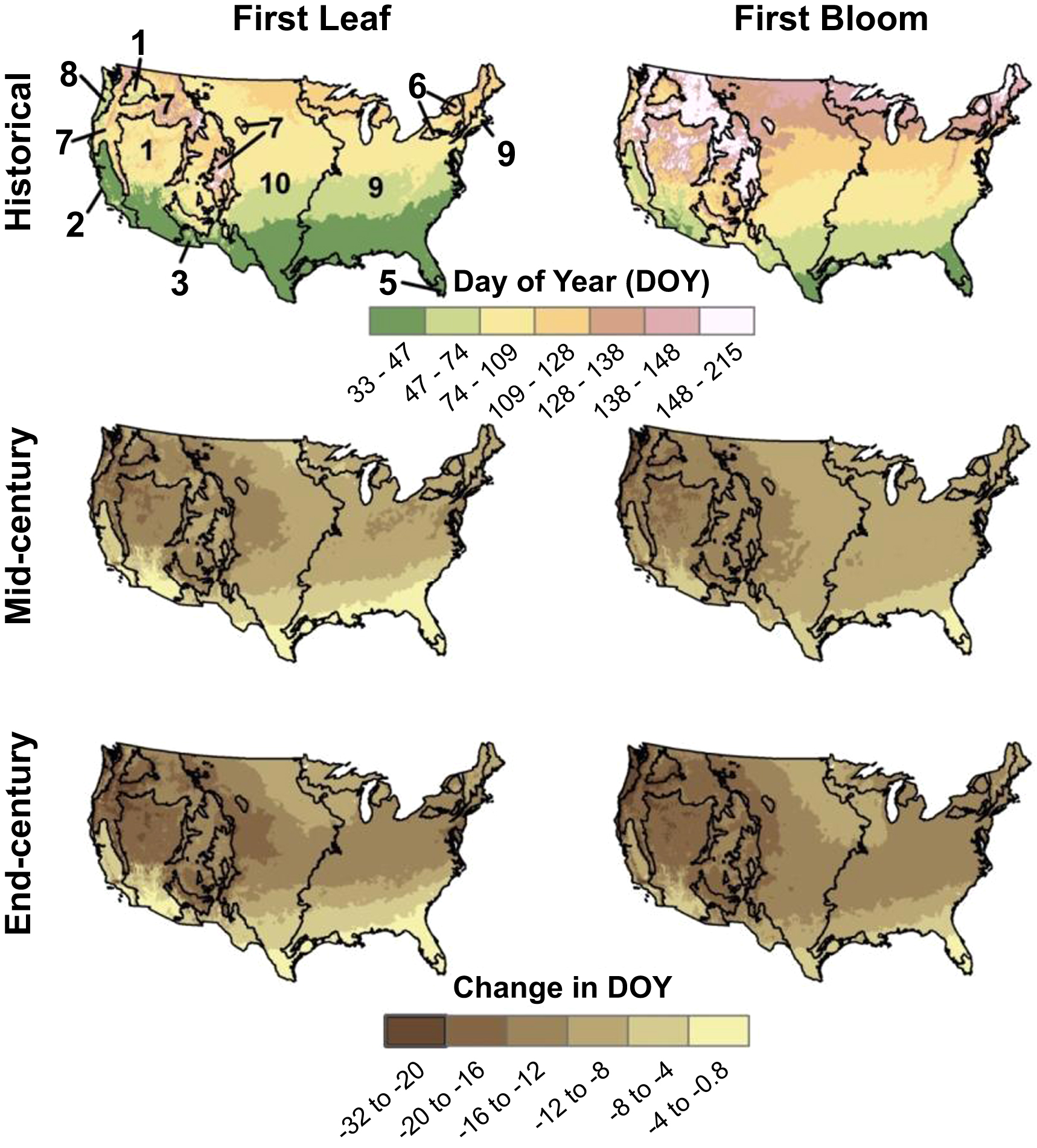 Spring plant phenology and false springs in the conterminous US during ...