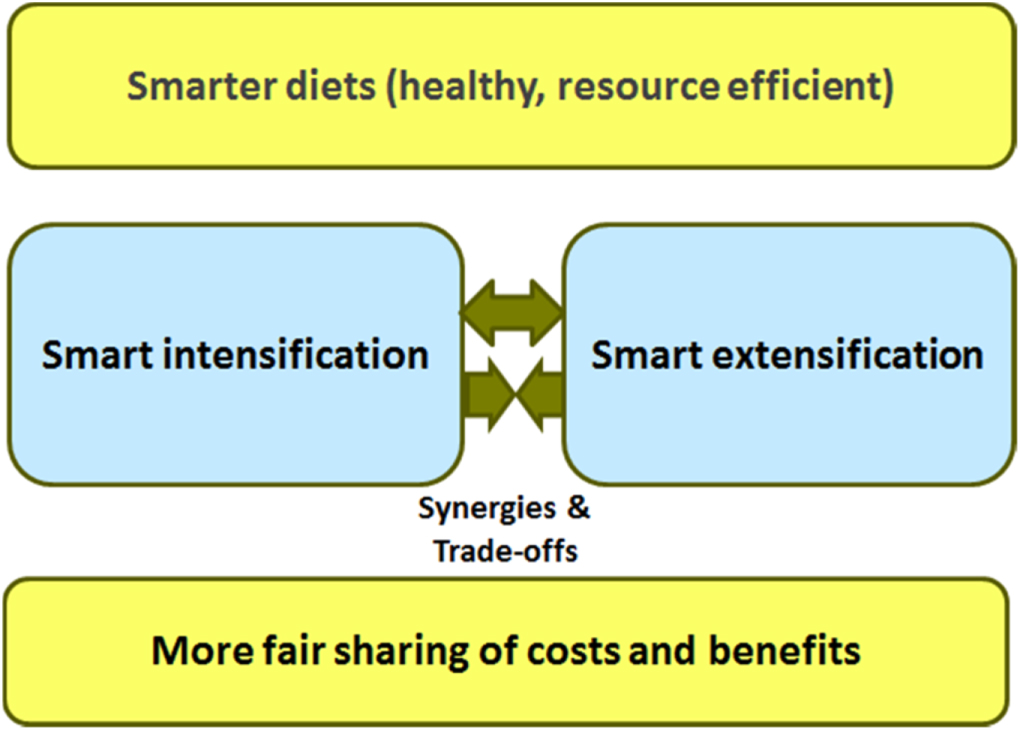 Potential of extensification of European agriculture for a more ...