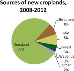 Cropland expansion outpaces agricultural and biofuel policies in the ...