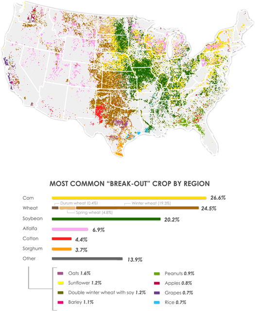 Cropland expansion outpaces agricultural and biofuel policies in the ...