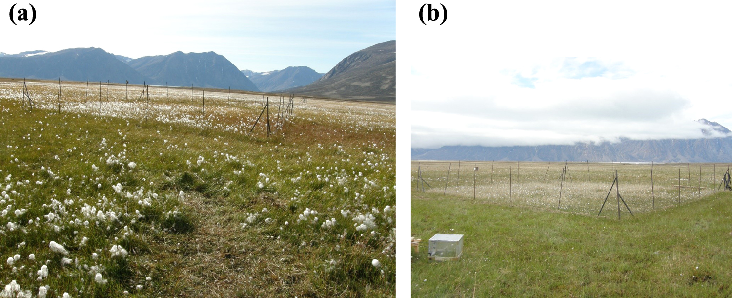 Large herbivore grazing affects the vegetation structure and greenhouse ...