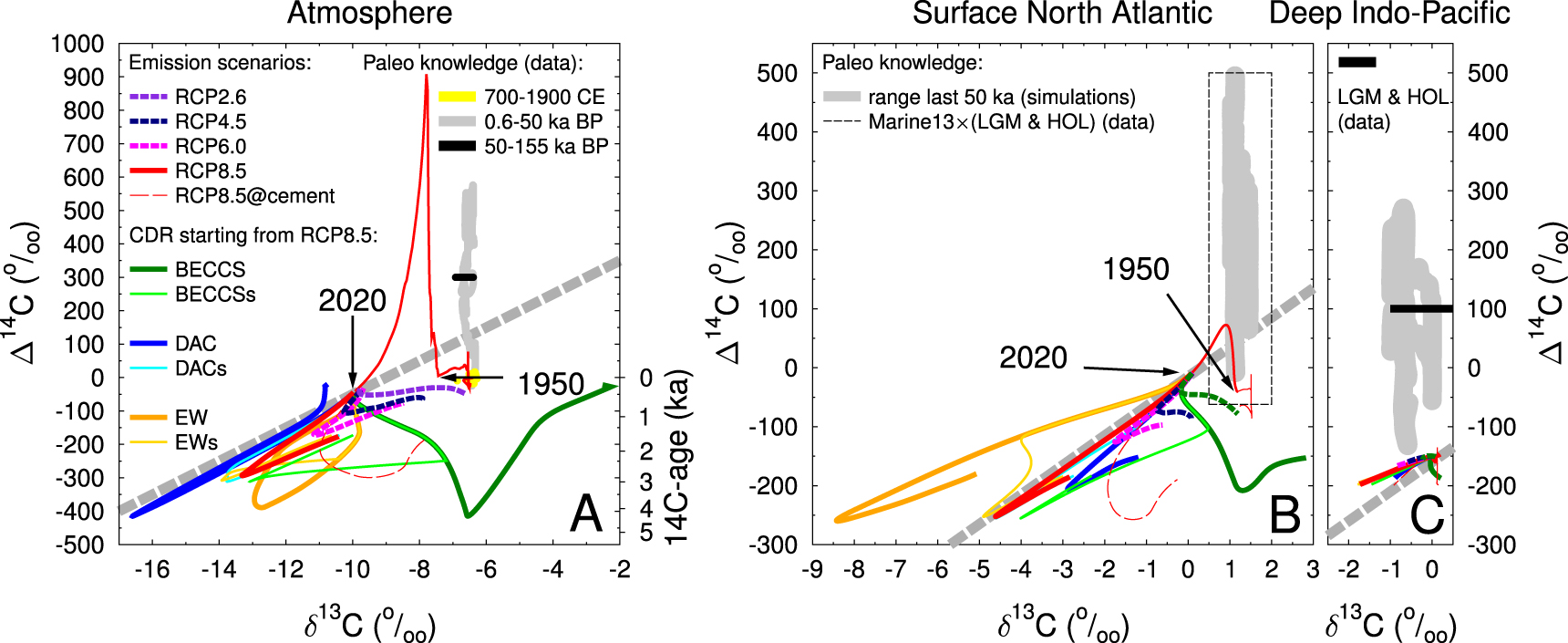 Using the Suess effect on the stable carbon isotope to distinguish the ...