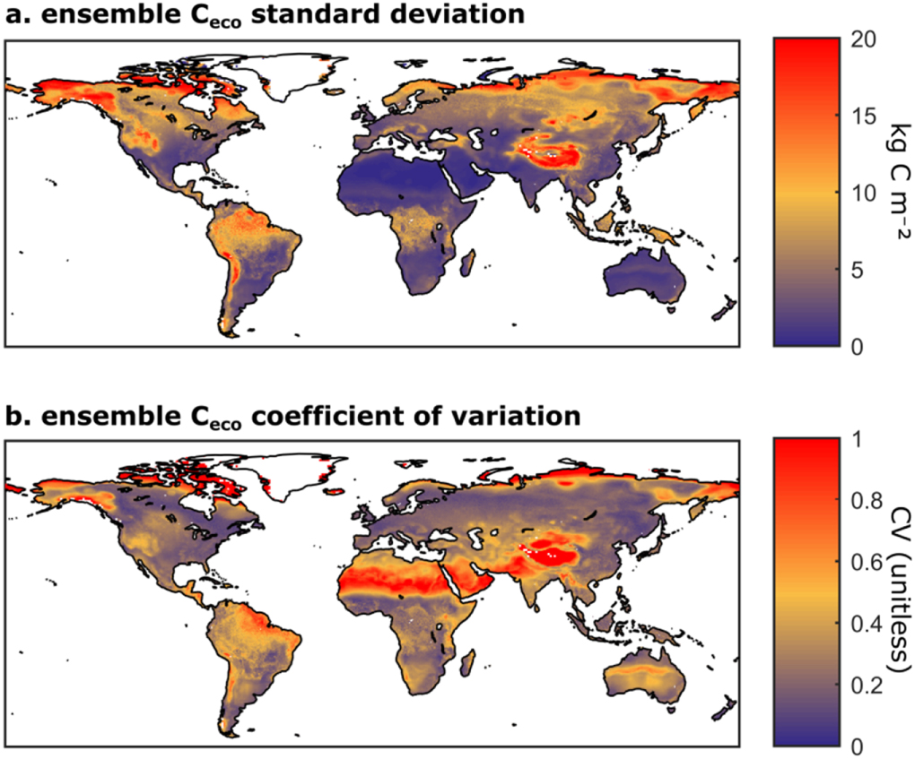 The large influence of climate model bias on terrestrial carbon cycle ...