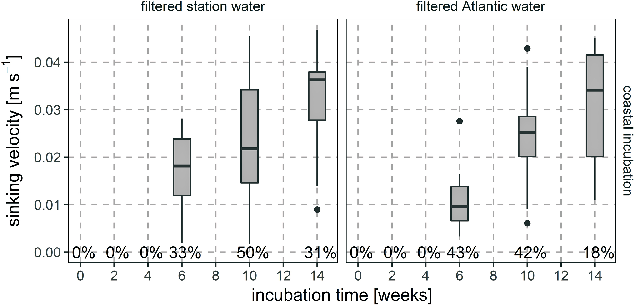 Effects of biofouling on the sinking behavior of microplastics - IOPscience