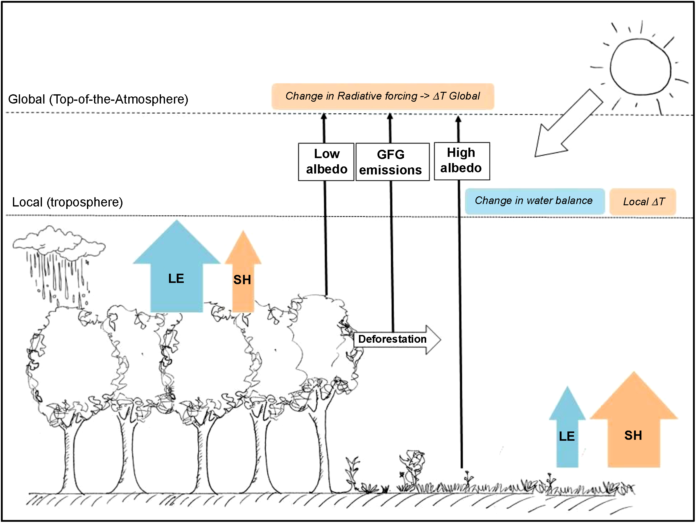 Biophysical effects on temperature and precipitation due to land cover ...
