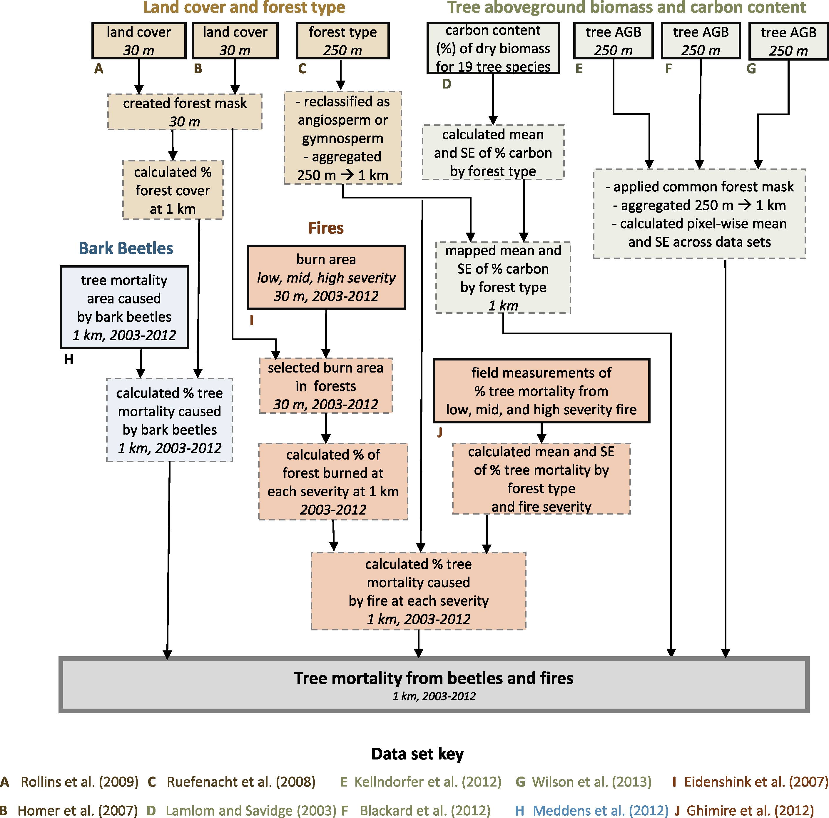 Tree mortality from fires, bark beetles, and timber harvest during a ...