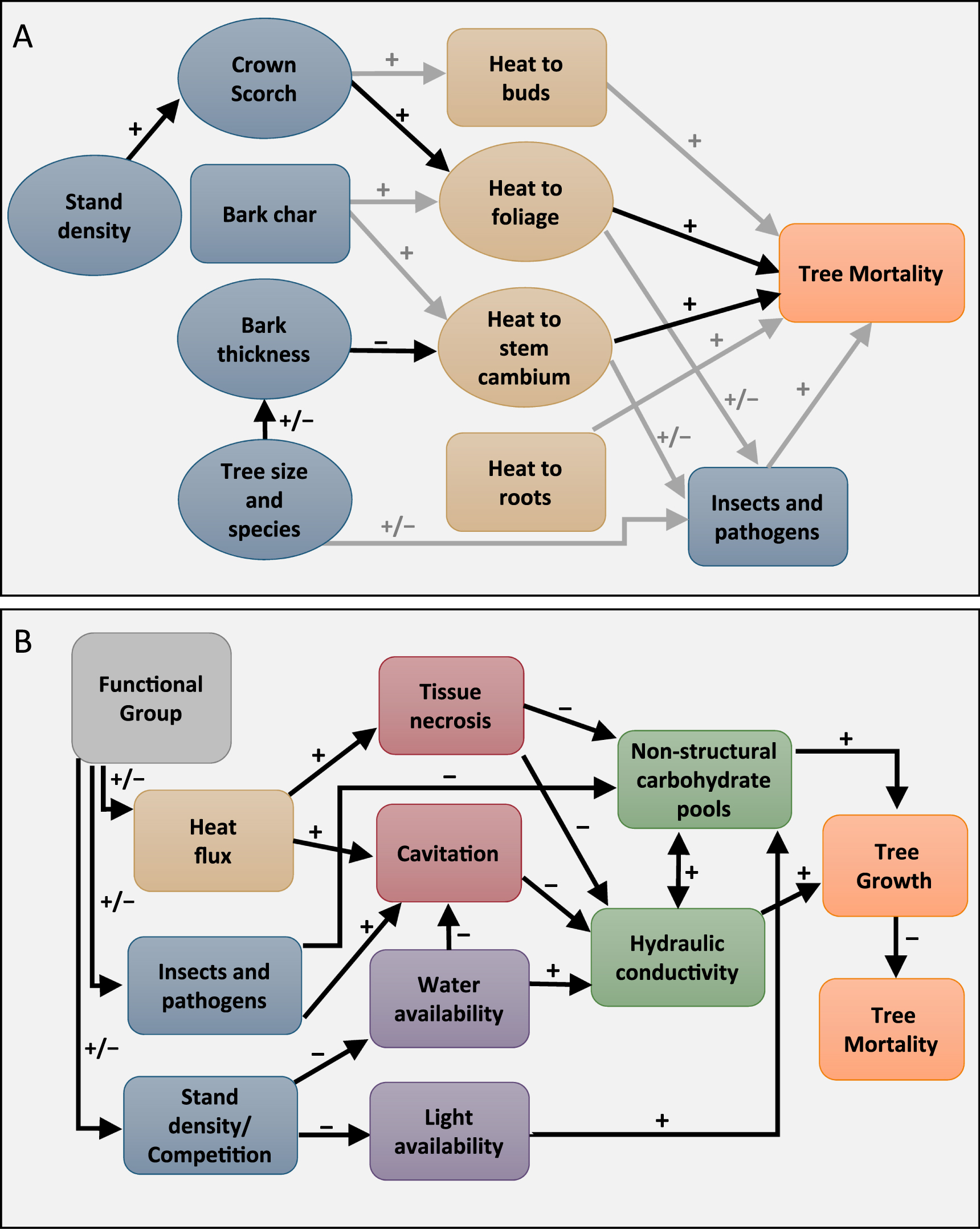 Fire and tree death: understanding and improving modeling of fire ...