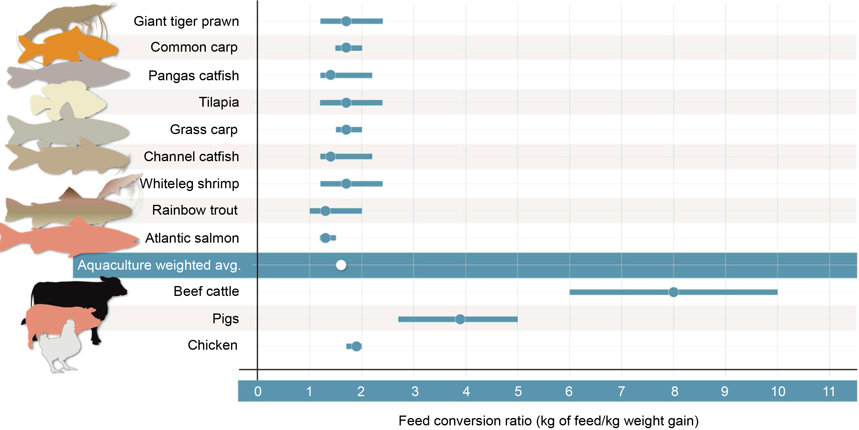 Feed conversion efficiency in aquaculture: do we measure it correctly ...