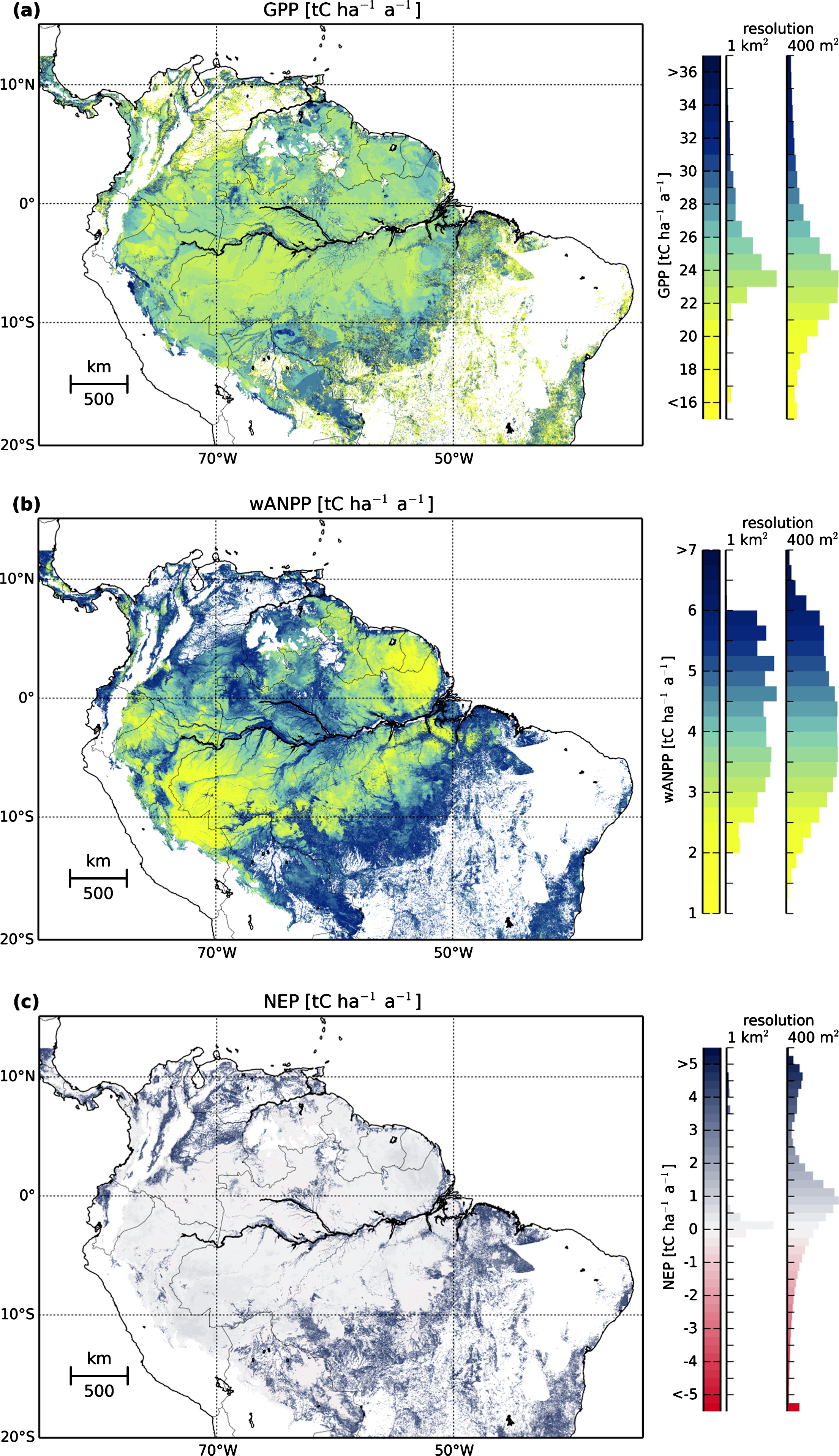 The importance of forest structure for carbon fluxes of the Amazon ...