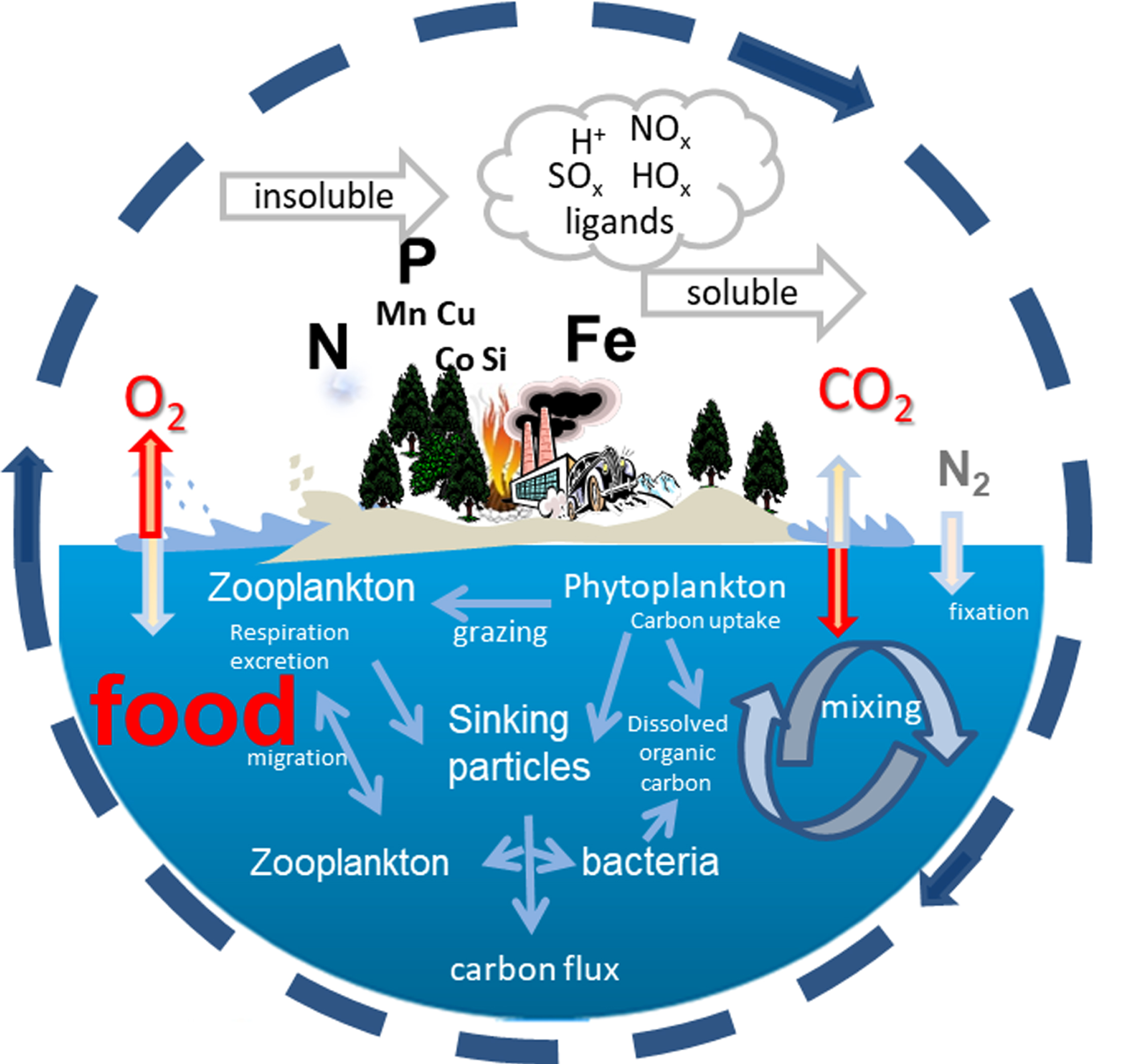 Aerosols in atmospheric chemistry and biogeochemical cycles of ...