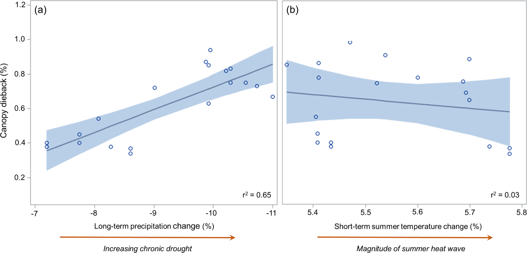 Chronic historical drought legacy exacerbates tree mortality and crown ...