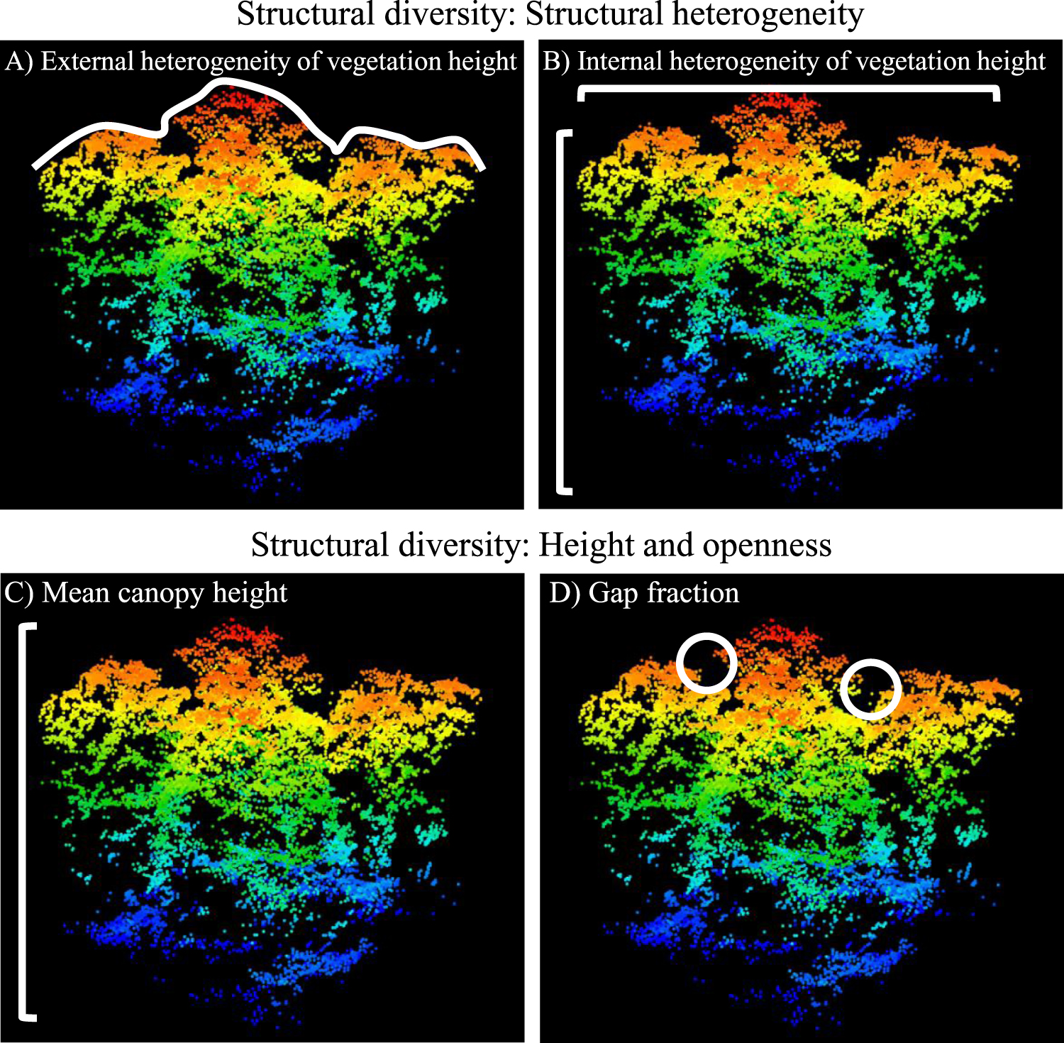 Structural diversity as a predictor of ecosystem function - IOPscience