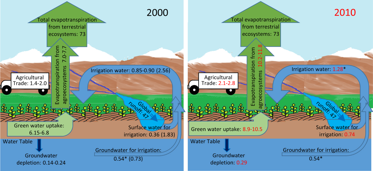 Global virtual water trade and the hydrological cycle: patterns ...