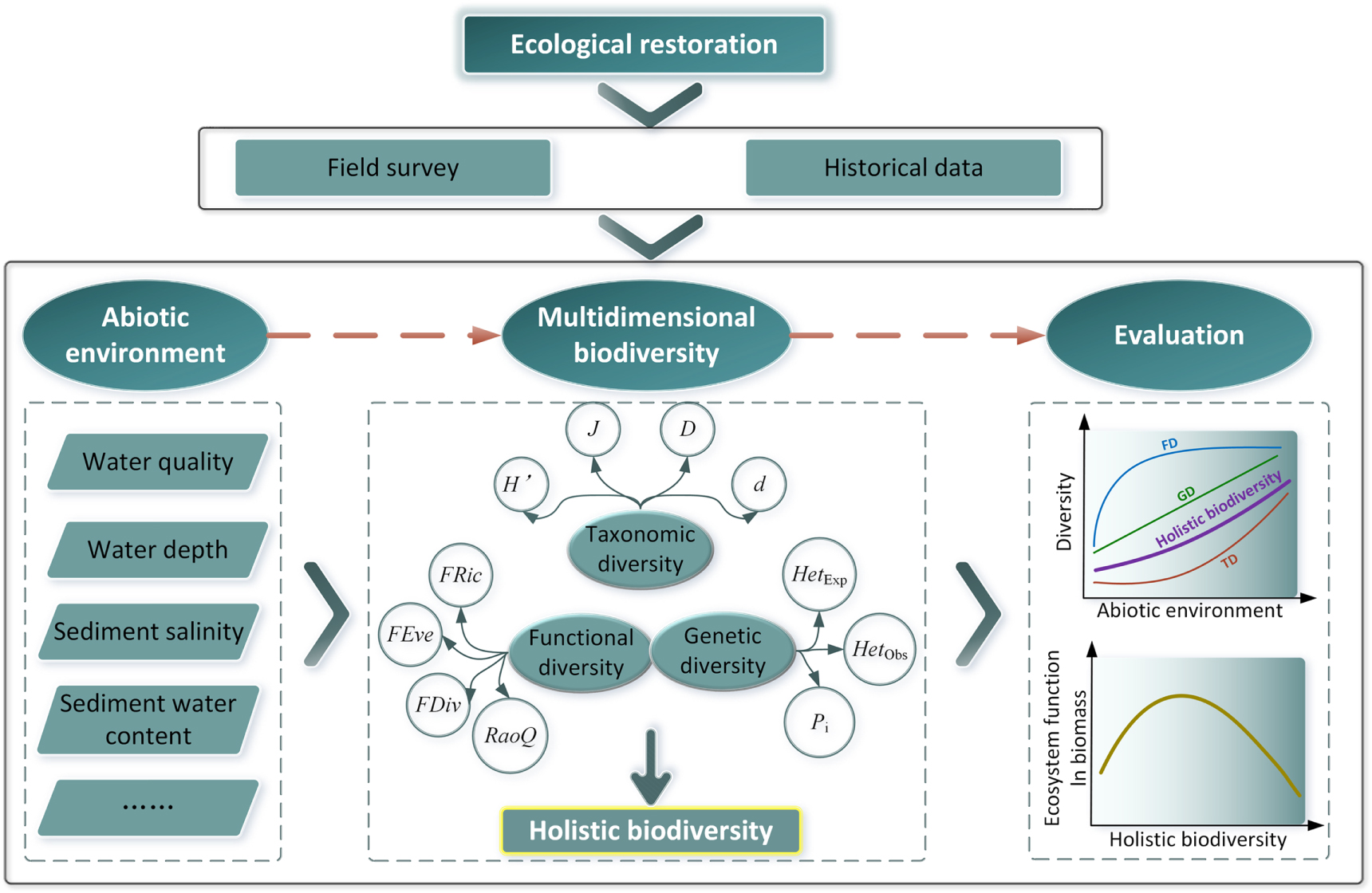 Framework of multidimensional macrobenthos biodiversity to evaluate ...