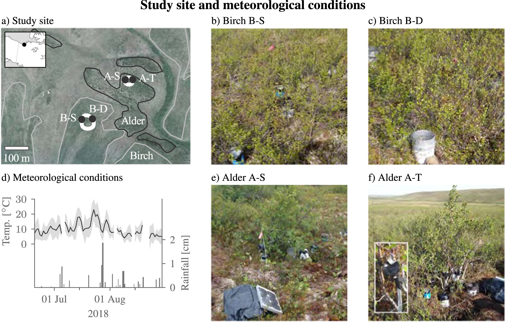 Shrub tundra ecohydrology: rainfall interception is a major component ...
