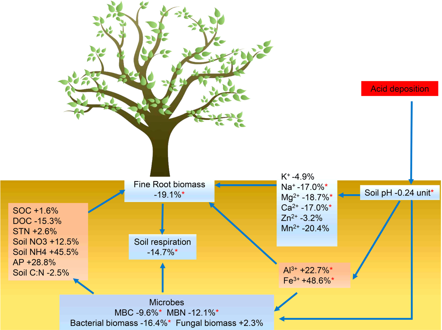 Global soil acidification impacts on belowground processes - IOPscience