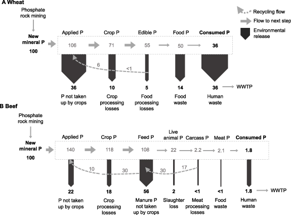 The U.S. consumer phosphorus footprint: where do nitrogen and ...