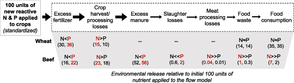 The U.S. consumer phosphorus footprint: where do nitrogen and ...