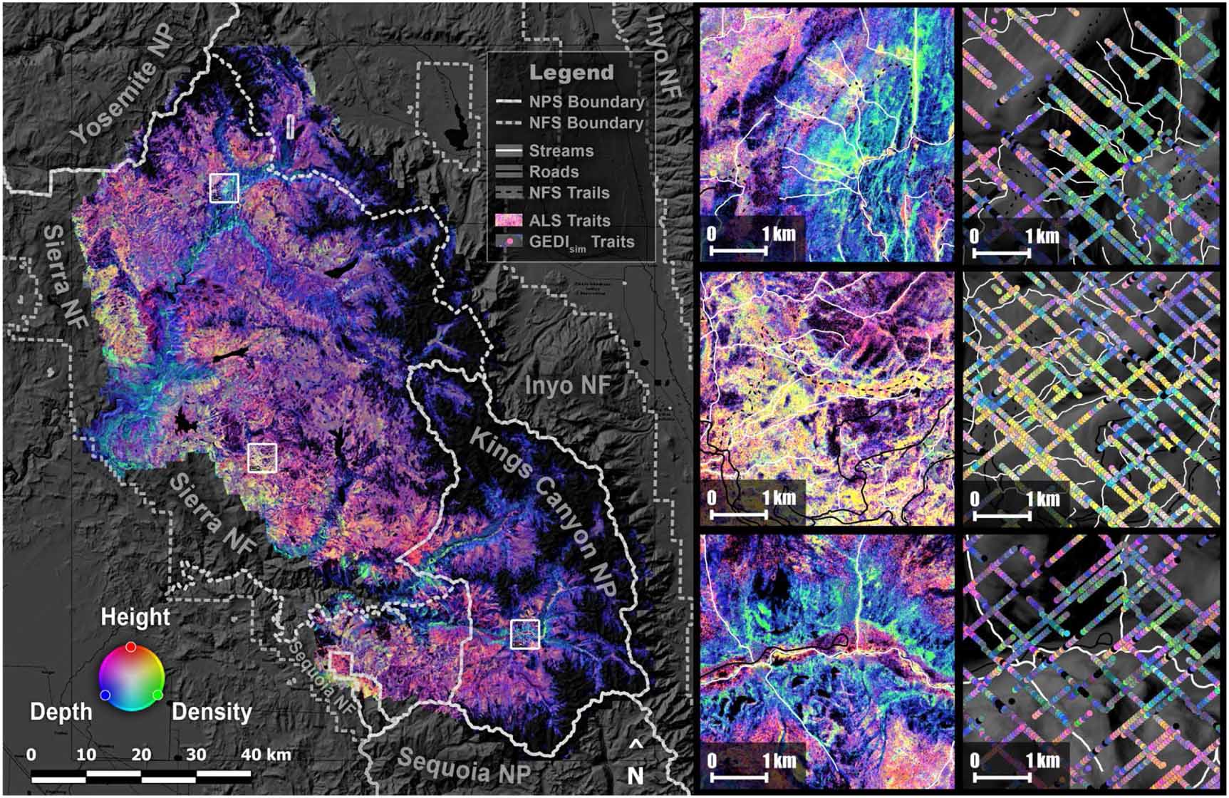 Towards mapping the diversity of canopy structure from space with GEDI ...