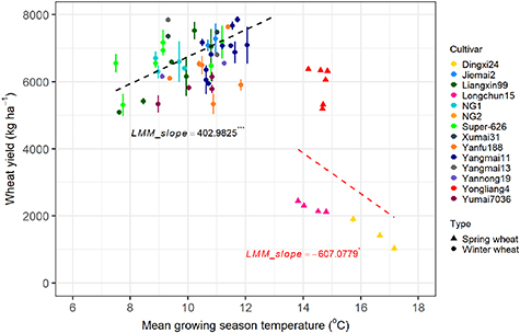 Contrasting yield responses of winter and spring wheat to temperature ...