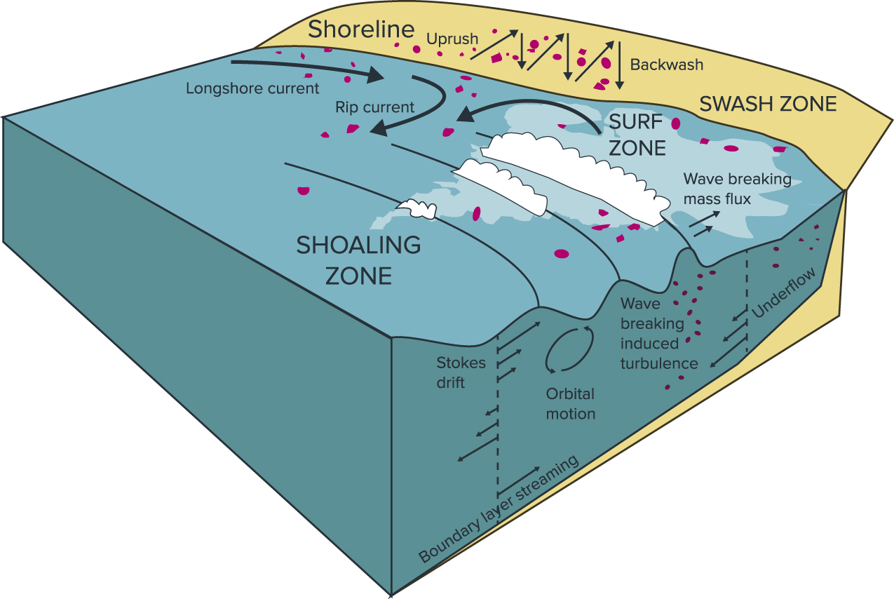 The physical oceanography of the transport of floating marine debris ...