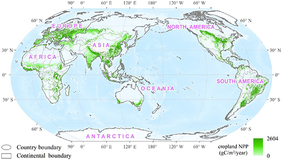 The occupation of cropland by global urban expansion from 1992 to 2016 ...