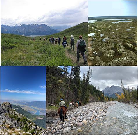 Identifying key ecosystem service providing areas to inform national ...