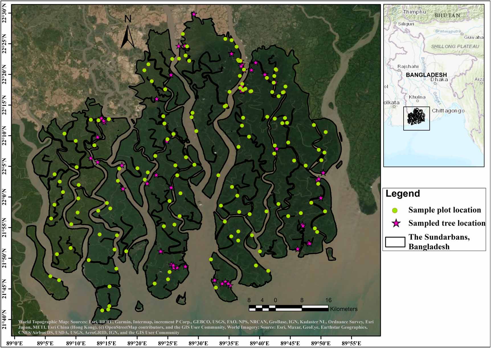 Biomass estimation in mangrove forests: a comparison of allometric ...