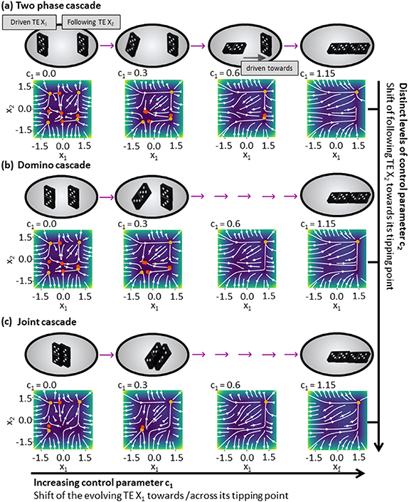 What do we mean, 'tipping cascade'? - IOPscience