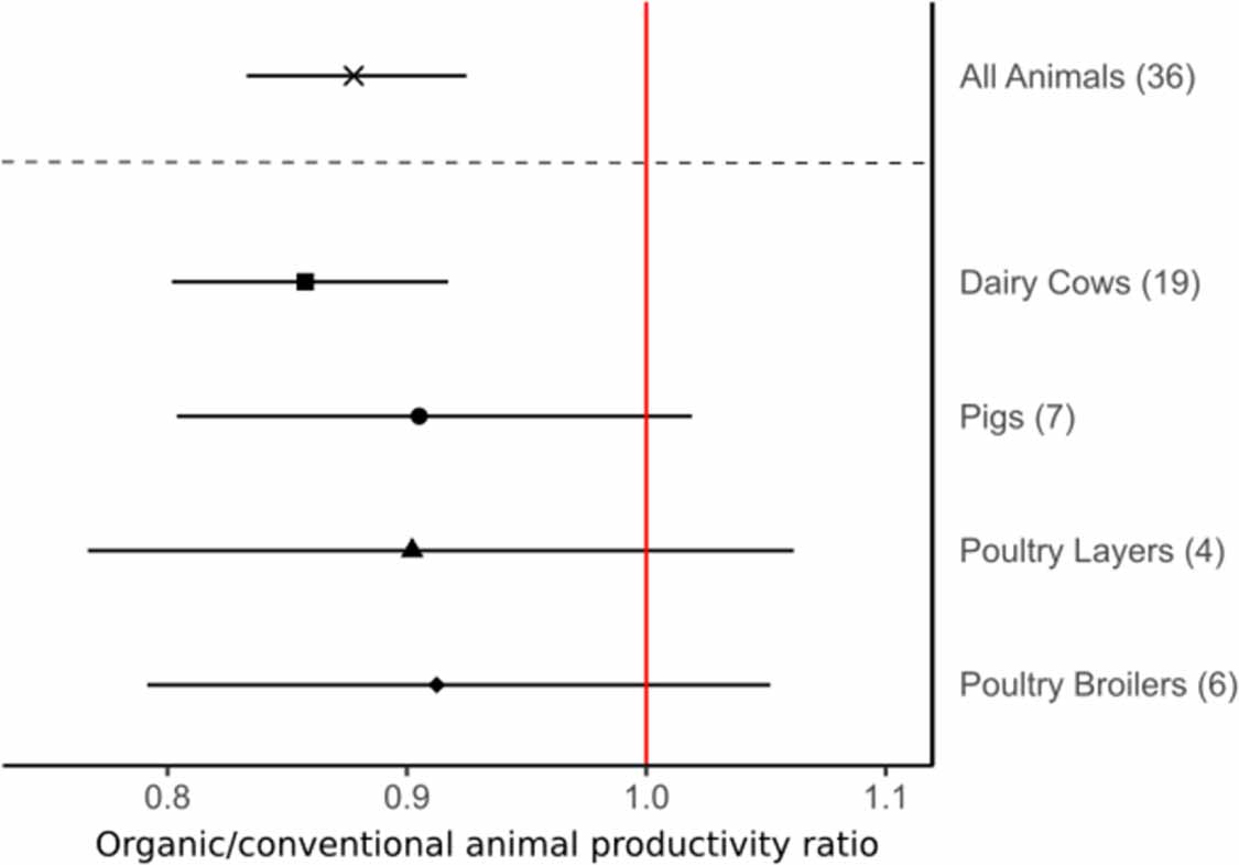Comparing productivity and feed-use efficiency between organic and ...