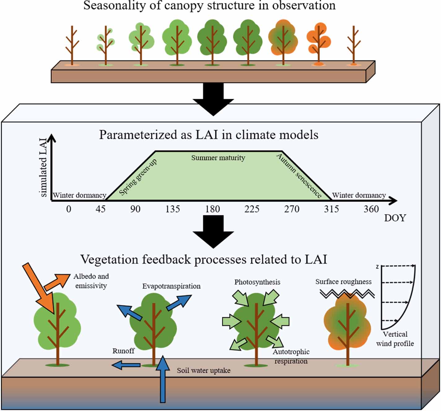 Leaf area index in Earth system models: how the key variable of ...