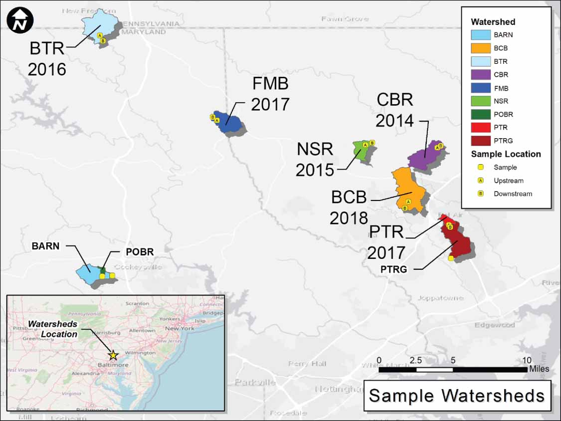 Effects of stream restoration by legacy sediment removal and floodplain ...
